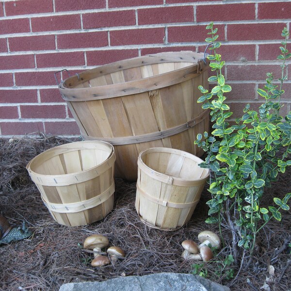 Apple Basket - Etsy