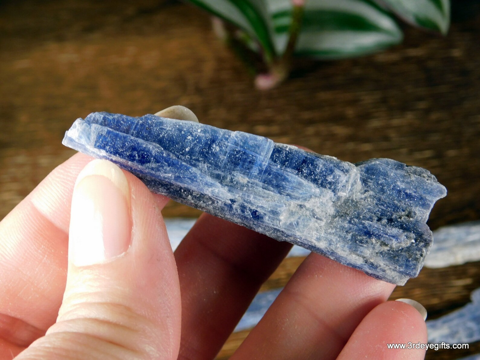 Blue Kyanite Blade Raw Kyanite Crystal Natural Kyanite Blade - Etsy