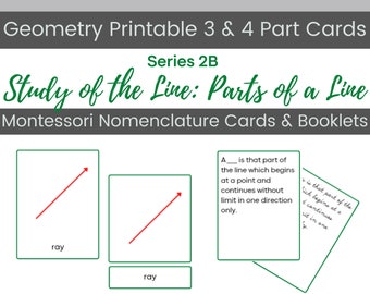 Montessori Geometry Nomenclature Cards Series 2 Study of the | Etsy