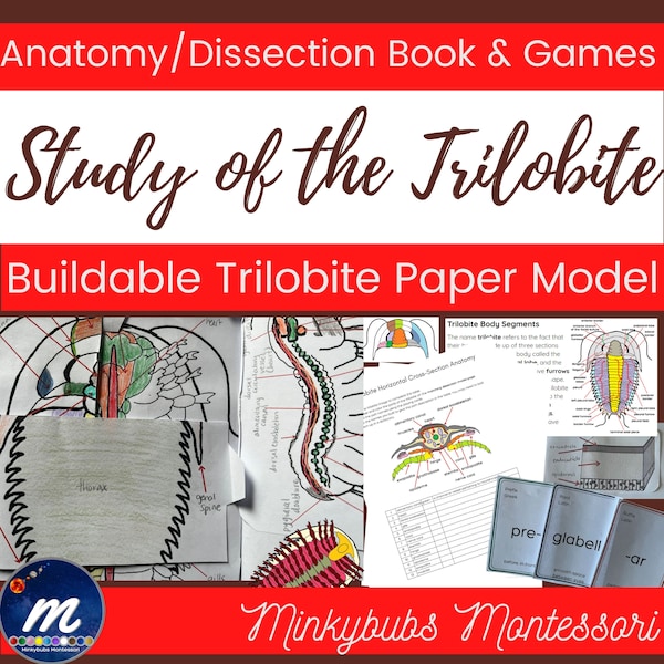 Medical Terminology Cards - Etsy