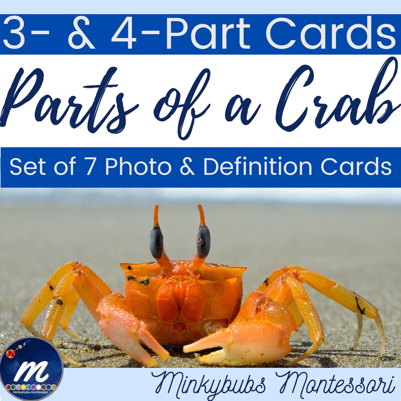 Biology Card Game - Etsy