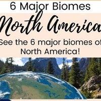 Temperate Deciduous Forest BIOME Habitat Matching Animal & Trophic ...