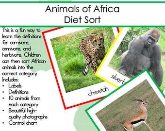 Herbivores, Carnivores and Omnivores Sorting Cards & Control Chart ...
