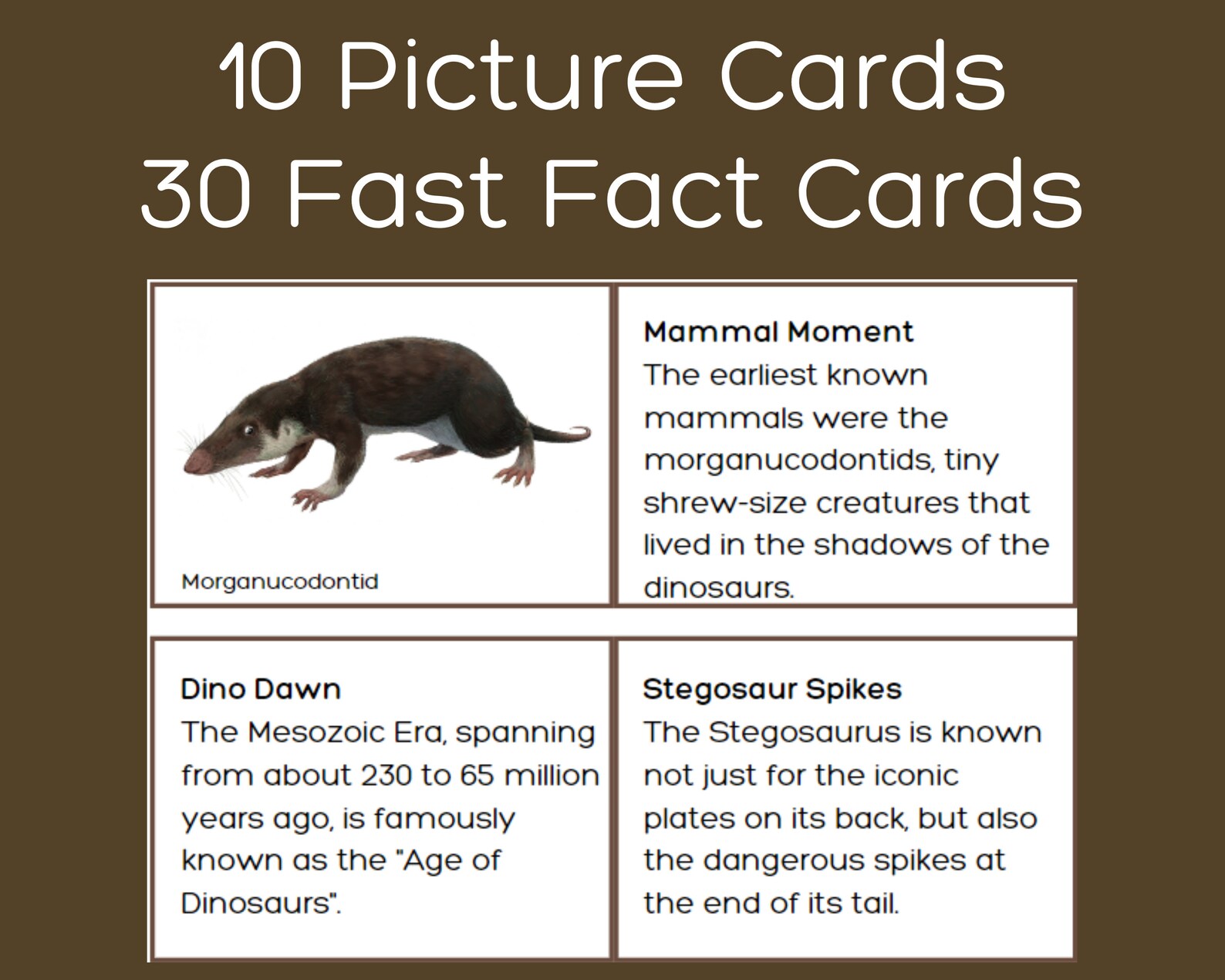 Mesozoic Era Fast Fact Cards 40 Cards Montessori Companion to Clock of ...