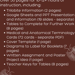 Trilobite Anatomy Virtual Dissection Paper Book and Build Arthropods ...