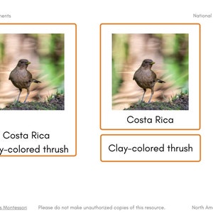 National Birds of North America Geography Montessori 3 Part Cards Print ...