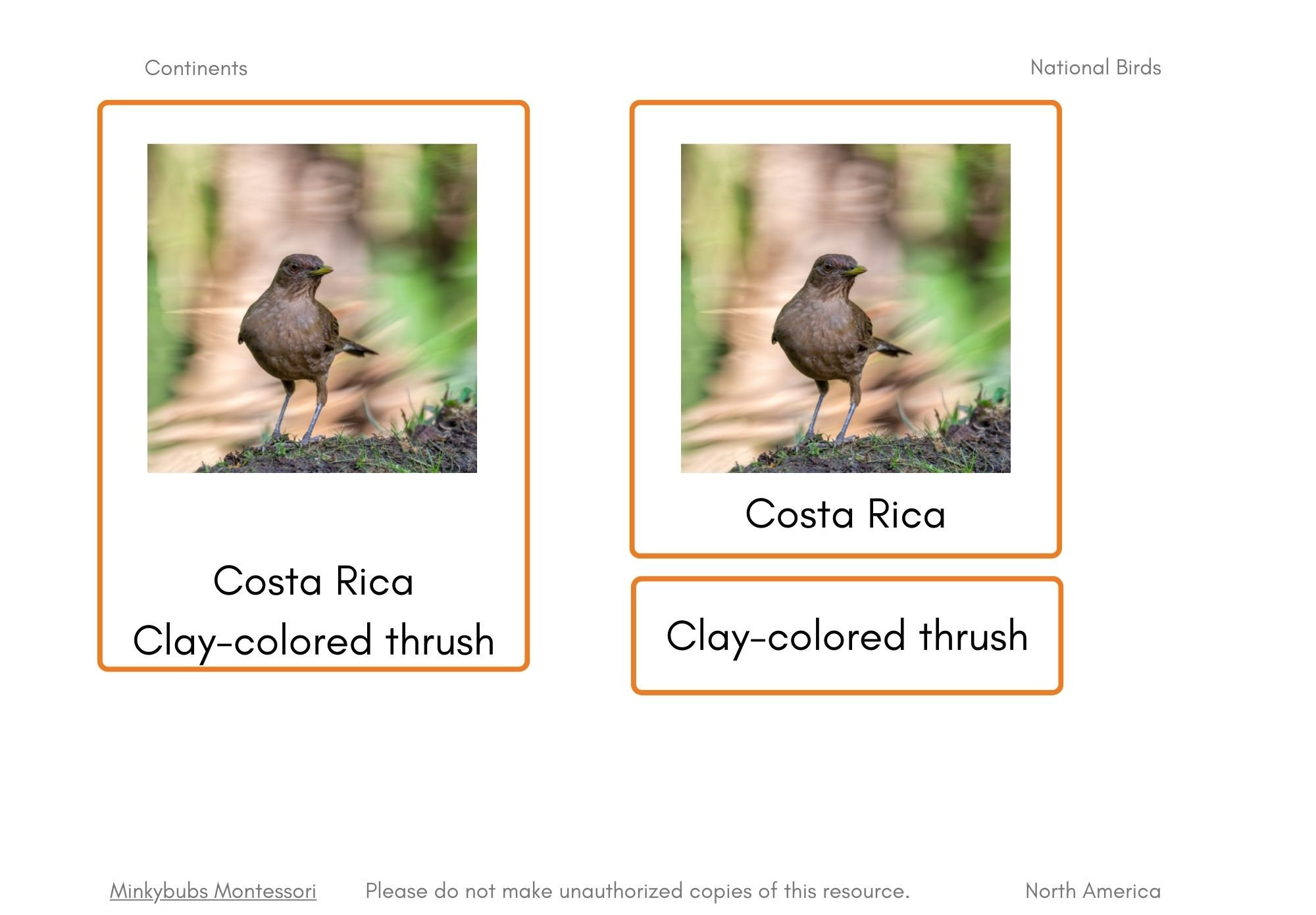National Birds of North America Geography Montessori 3 Part Cards Print ...