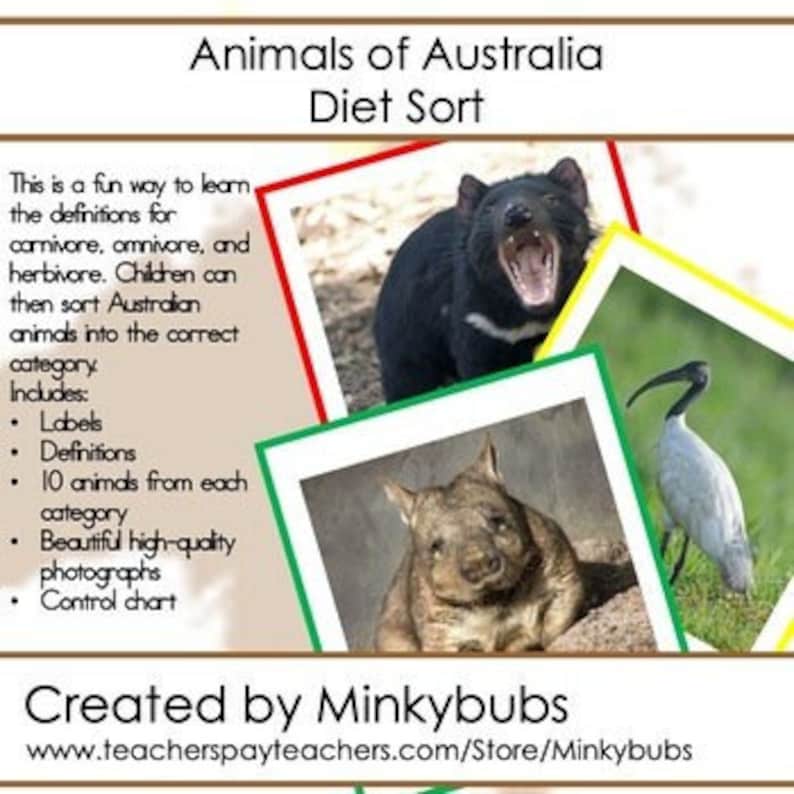 Carnivores, Omnivores, Herbivores Australia Oceania Sorting Cards ...