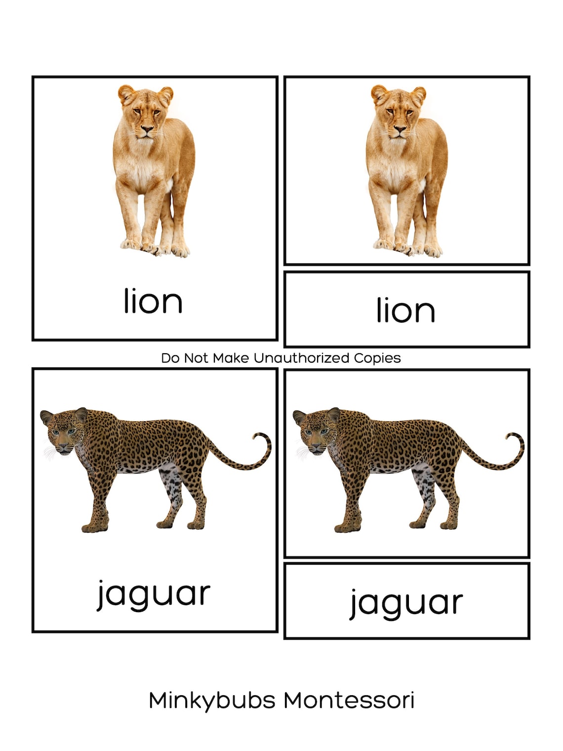 Classified Cards Wild Animals Montessori Set of 10 Common Wild Animal ...