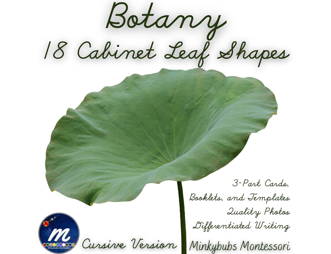 Montessori Botany Leaf Cabinet 3-part Photo Cards Booklets and ...