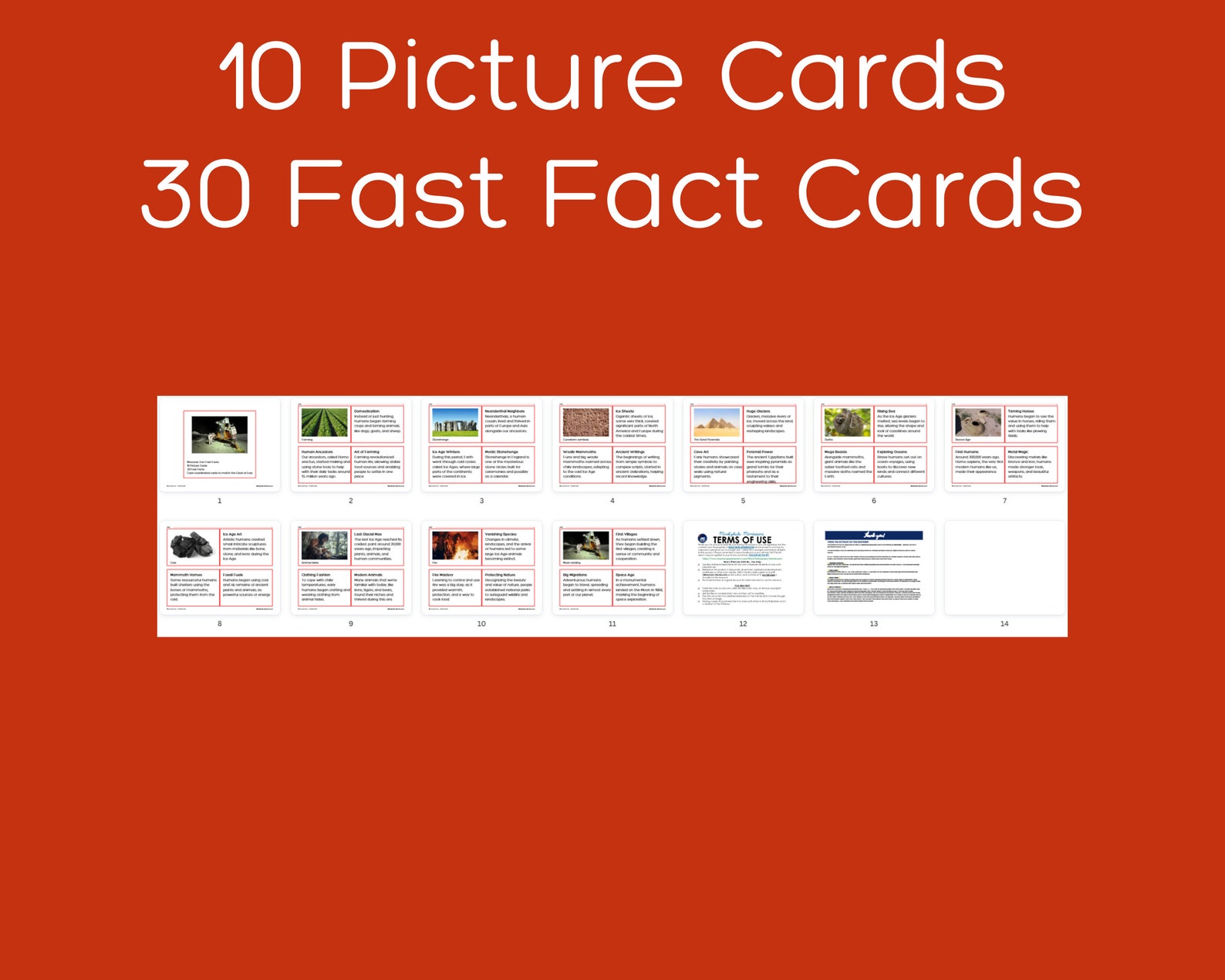 Neozoic Era Fast Fact Cards 40 Cards Montessori Companion to Clock of ...