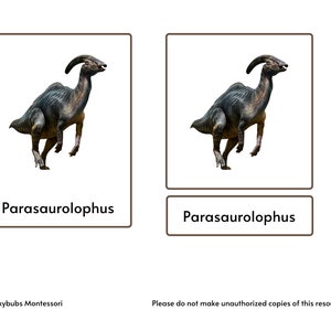 Dinosaurs Montessori 3 Part Cards With Picture and Labels for Sorting ...