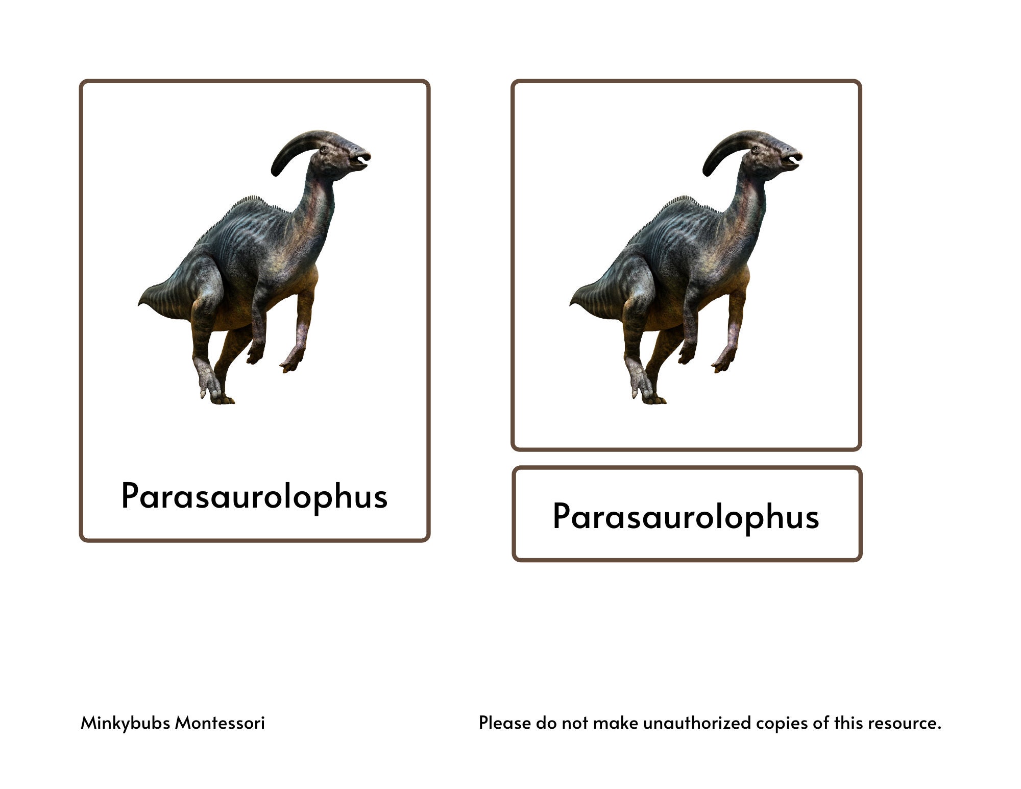 Dinosaurs Montessori 3 Part Cards With Picture and Labels for Sorting ...