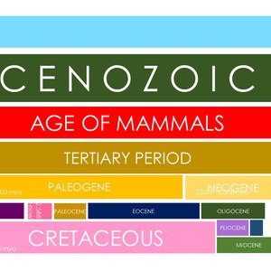Montessori Timeline of Life Story of the Coming of Life Second Great ...
