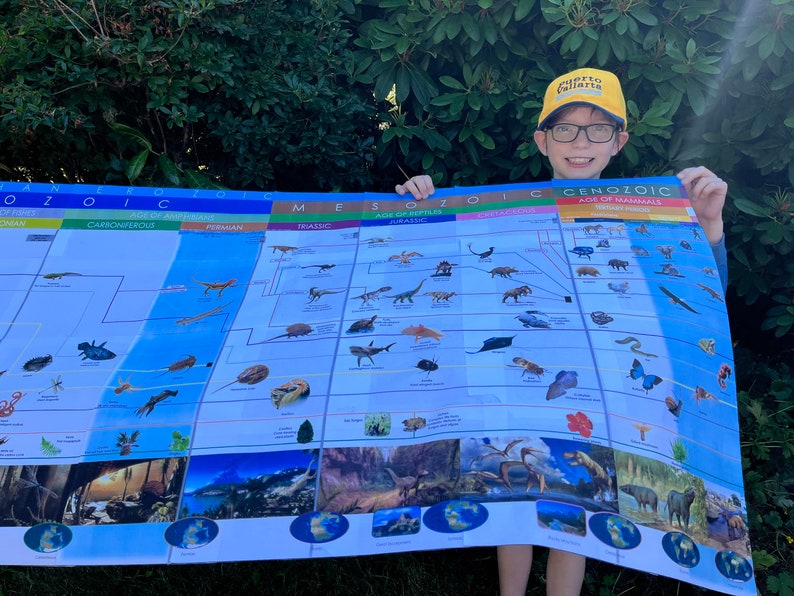 Montessori Timeline of Life Story of the Coming of Life Second Great ...