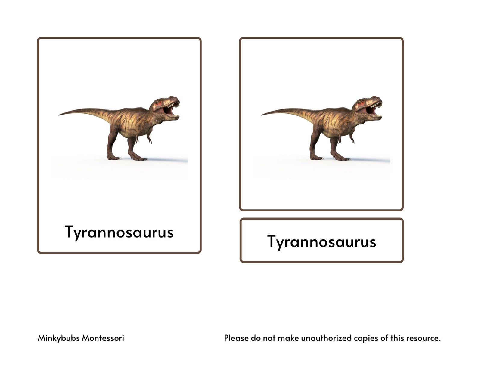 Dinosaurs Montessori 3 Part Cards With Picture and Labels for Sorting ...