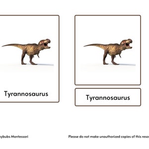 Dinosaurs Montessori 3 Part Cards With Picture and Labels for Sorting ...