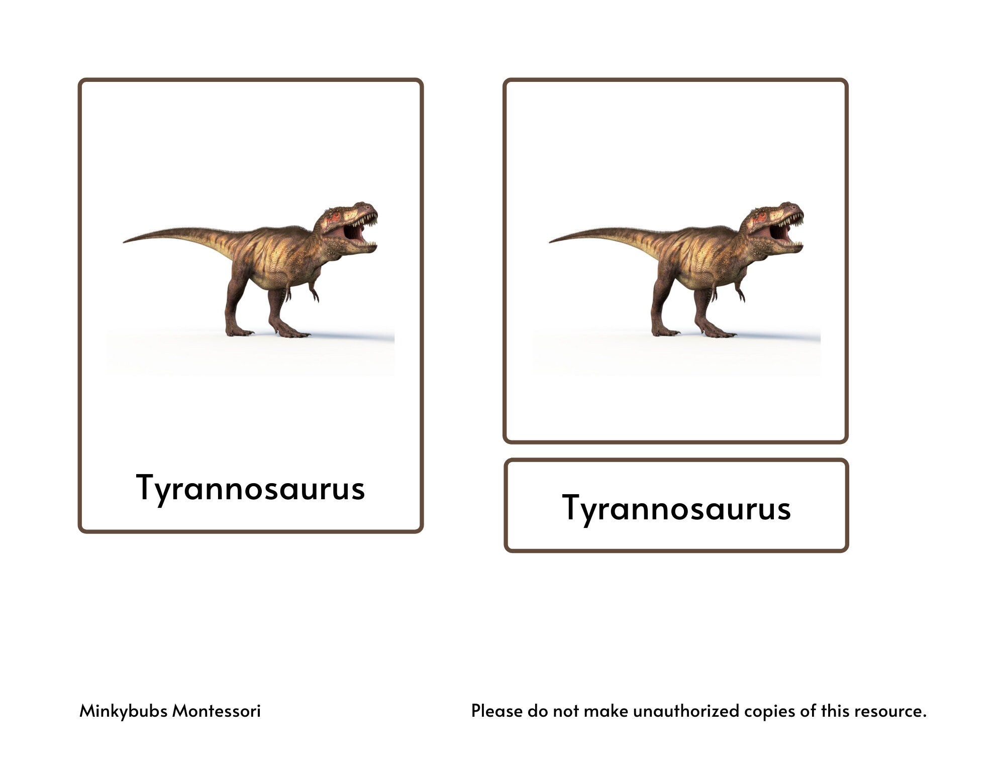 Dinosaurs Montessori 3 Part Cards With Picture and Labels for Sorting ...