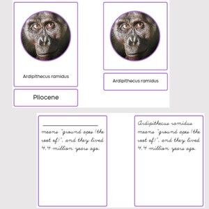 Montessori Great Story of Coming of Humans Third Great Lesson Printable ...