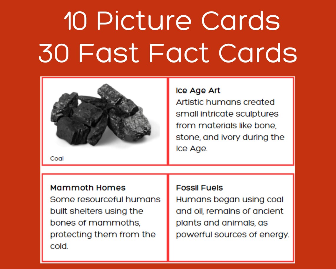 Neozoic Era Fast Fact Cards 40 Cards Montessori Companion to Clock of ...