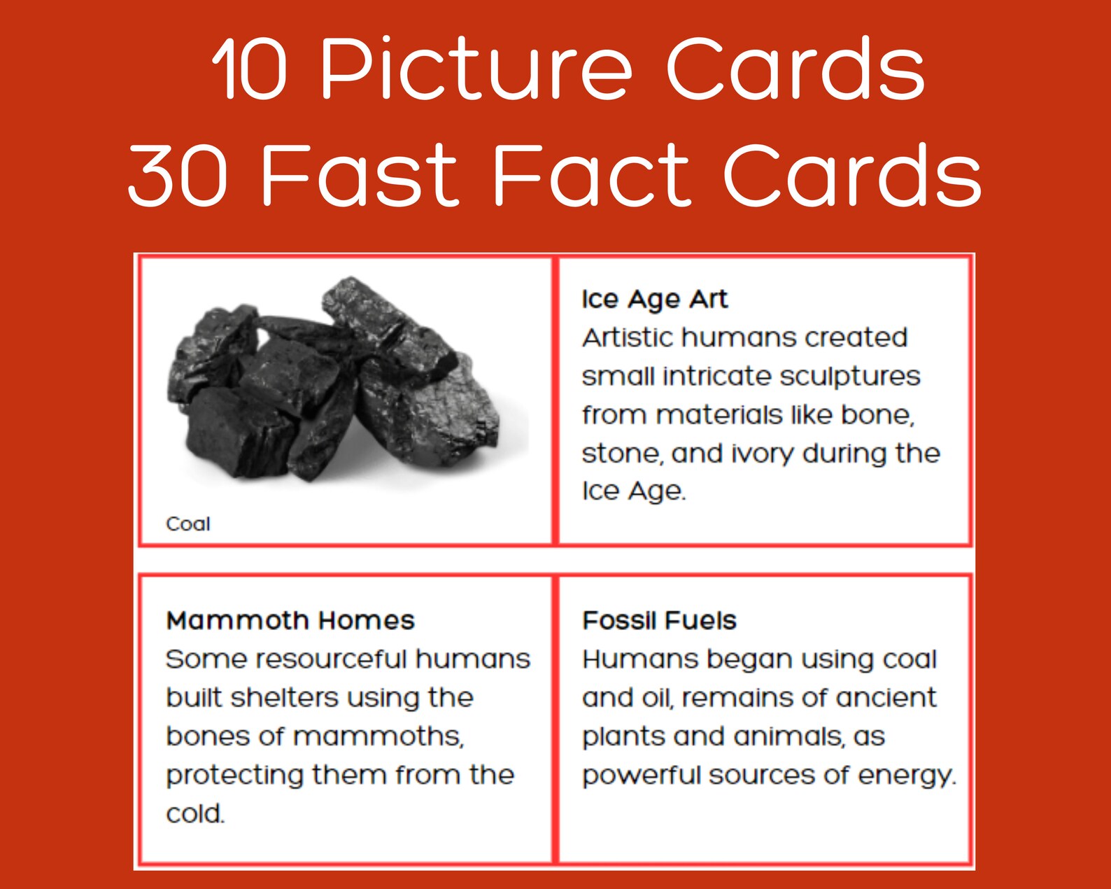 Neozoic Era Fast Fact Cards 40 Cards Montessori Companion to Clock of ...