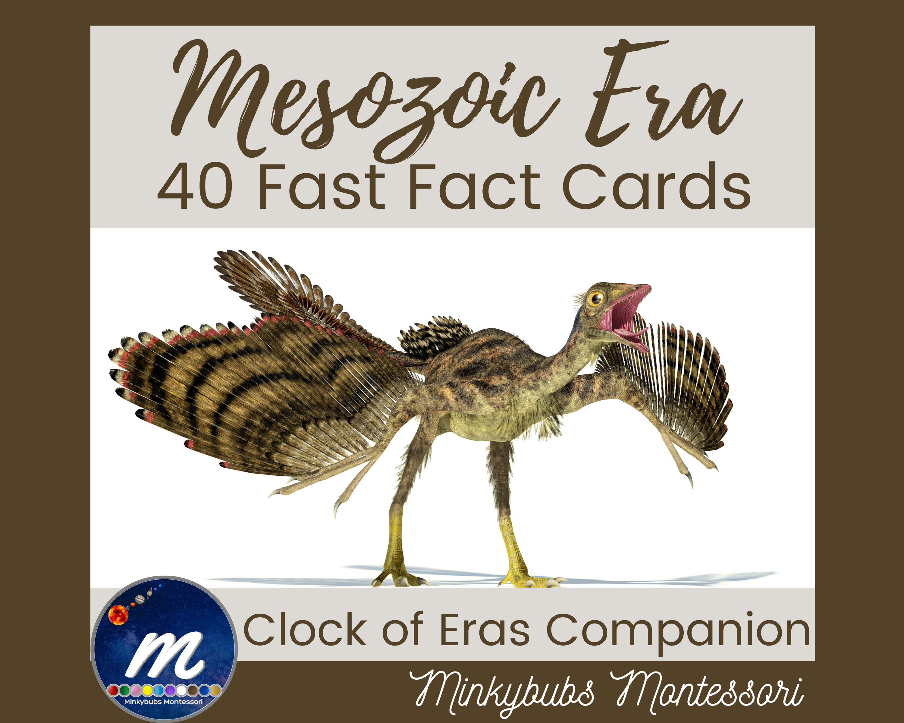 Mesozoic Era Fast Fact Cards 40 Cards Montessori Companion to Clock of ...