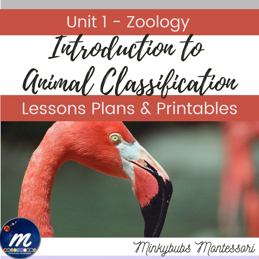 Zoology Classification of Animals Montessori Manual Resources - Etsy