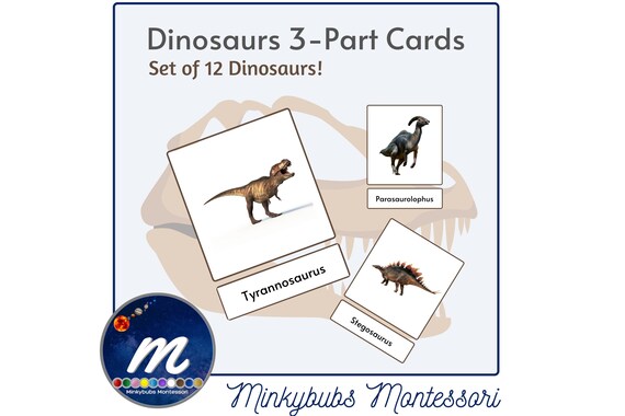Dinosaurs Montessori 3 Part Cards With Picture and Labels for | Etsy