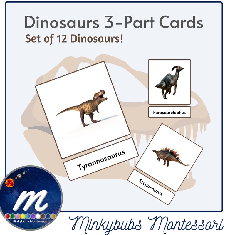 Montessori Dinosaur - Etsy