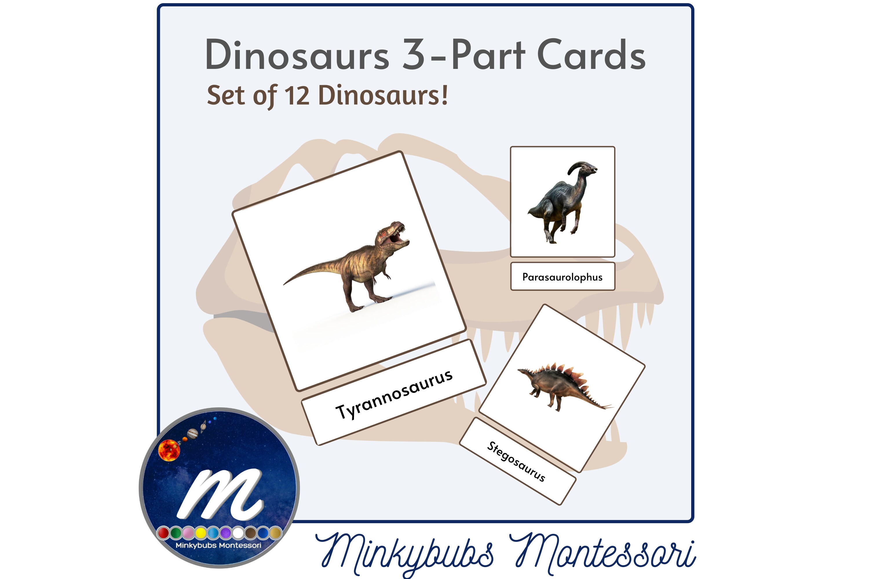 Dinosaurs Montessori 3 Part Cards With Picture and Labels for Sorting ...