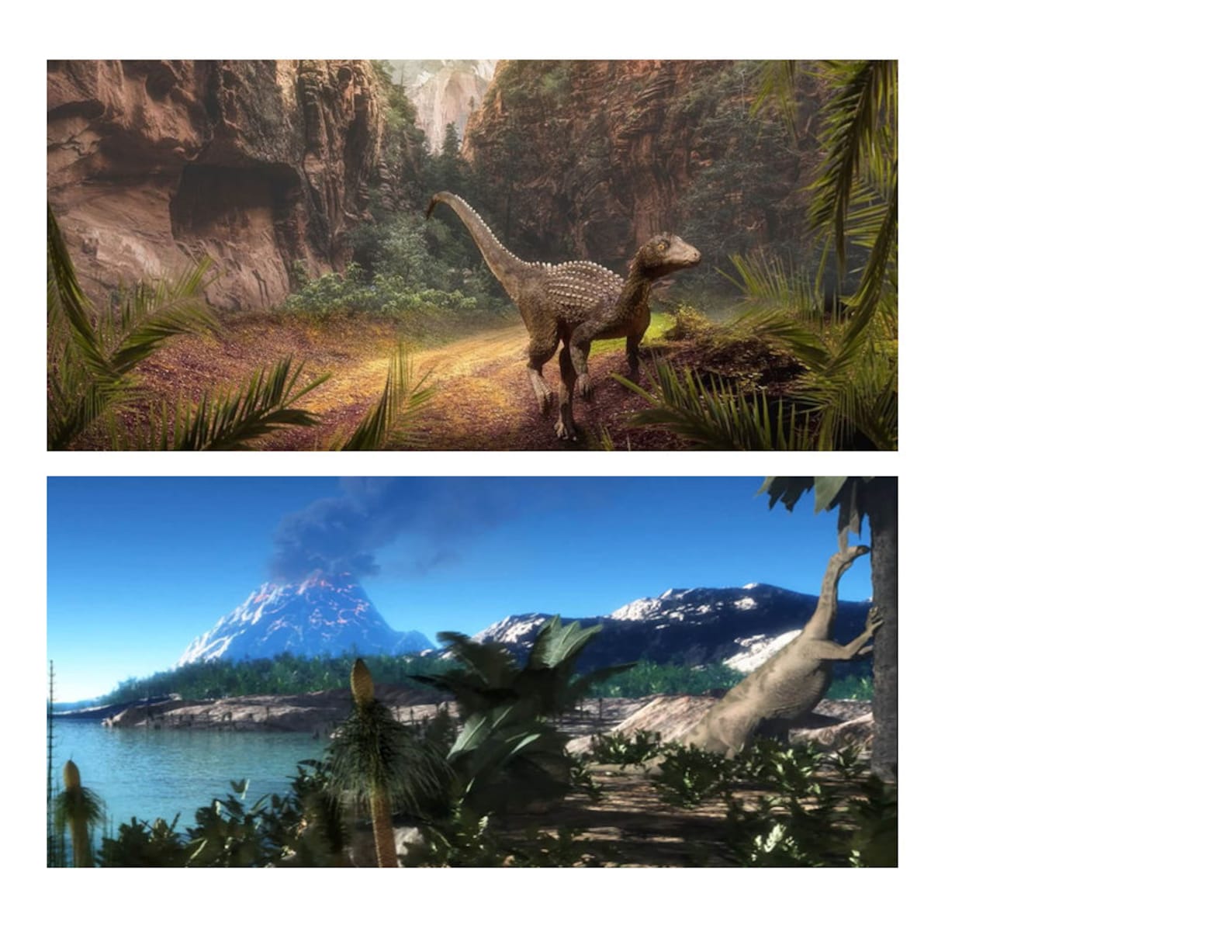 Montessori Timeline of Life Story of the Coming of Life Second Great ...