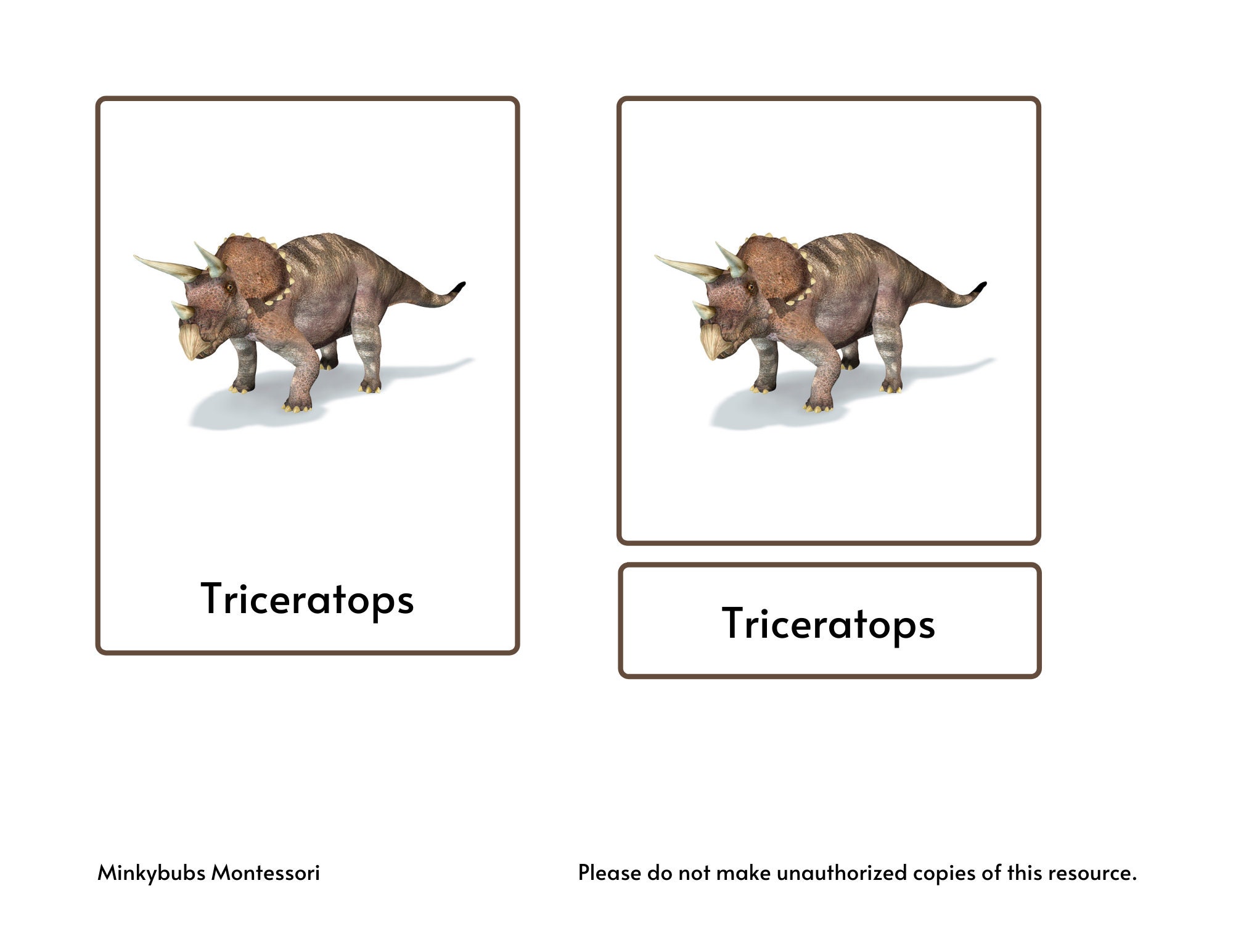 Dinosaurs Montessori 3 Part Cards With Picture and Labels for Sorting ...