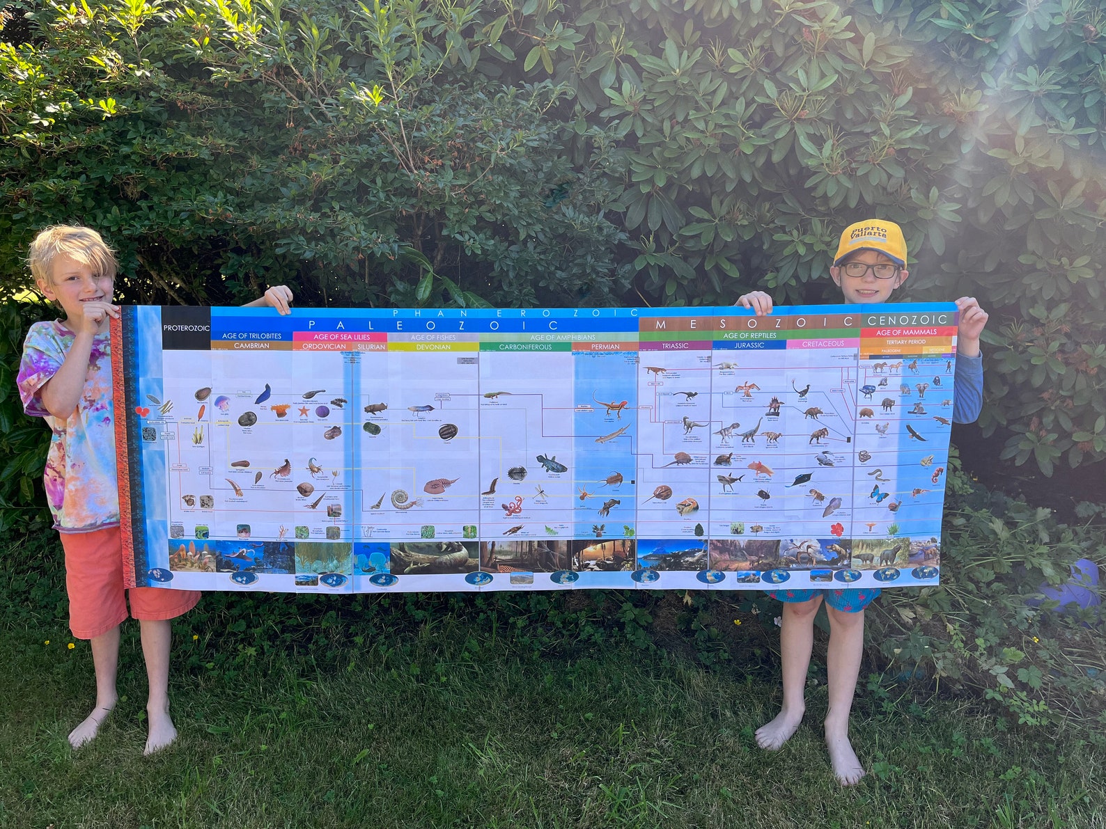 Montessori Timeline of Life Story of the Coming of Life Second Great ...