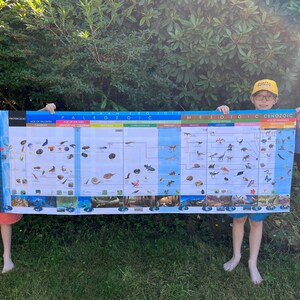 Montessori Timeline of Life Story of the Coming of Life Second Great ...