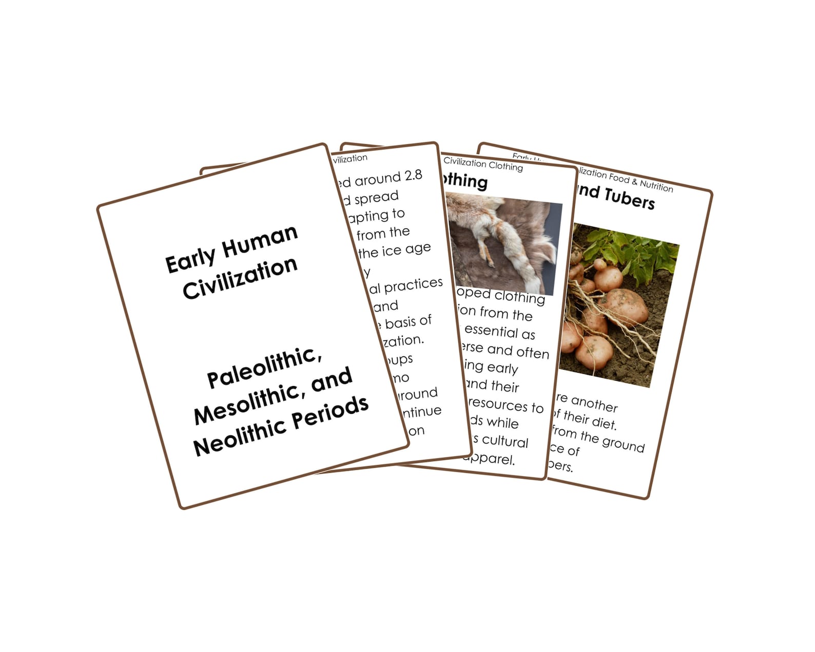 Fundamental Needs Humans Ancient Civilizations EARLY HUMANS 76 Research ...