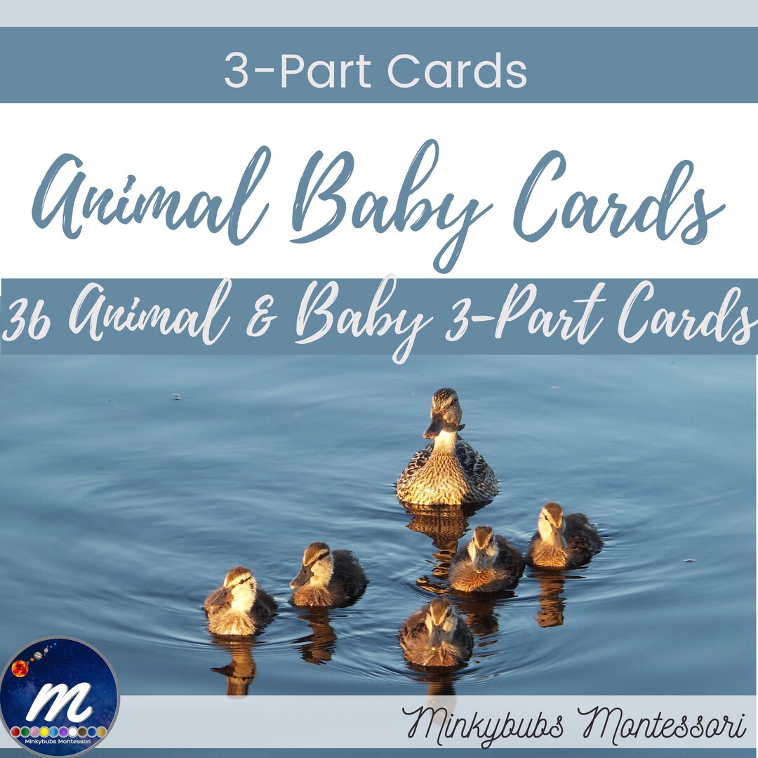 Animal Babies 3 Part Cards Montessori Matching Task Memory Vocabulary ...