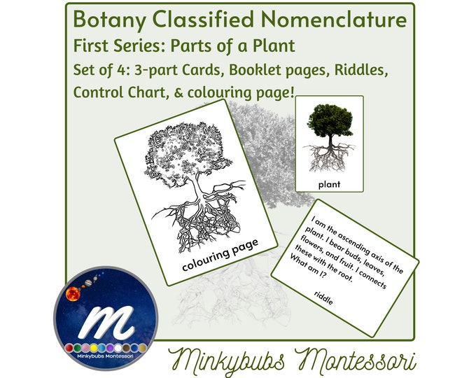 Parts of a Root Nomenclature Book Montessori Botany Printable ...