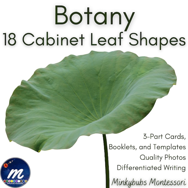 Botany Cabinet - Etsy
