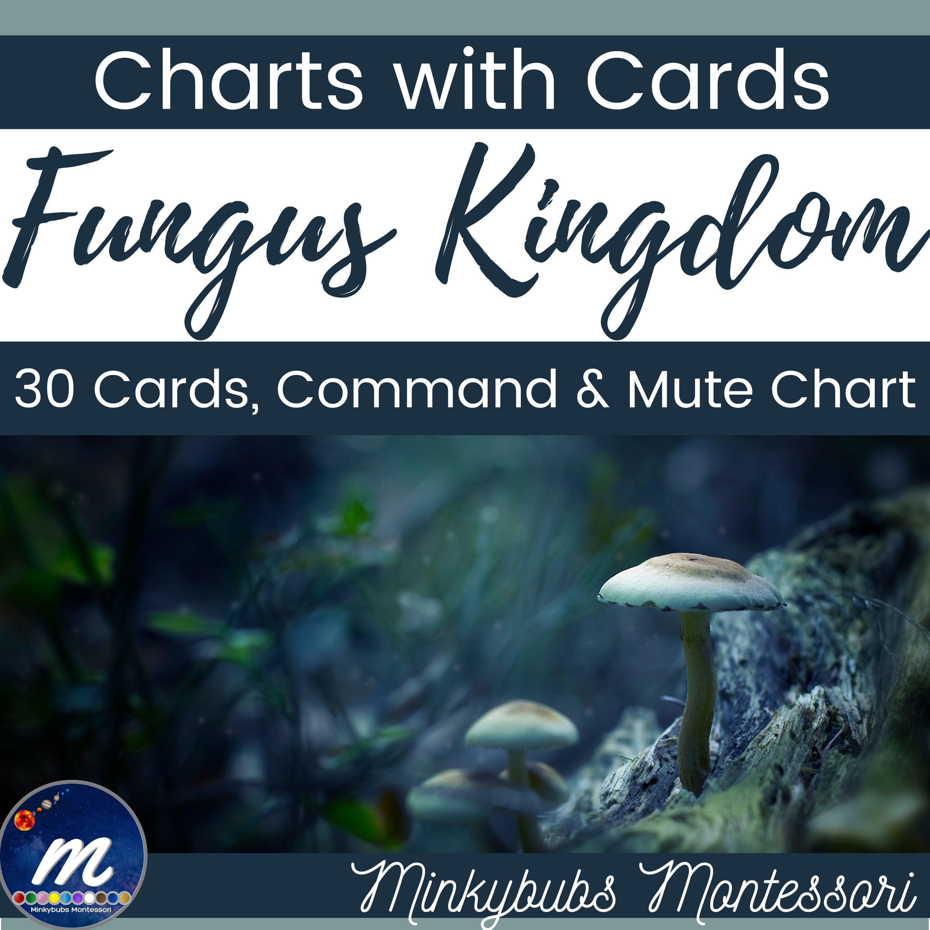 Kingdom Fungi Chart