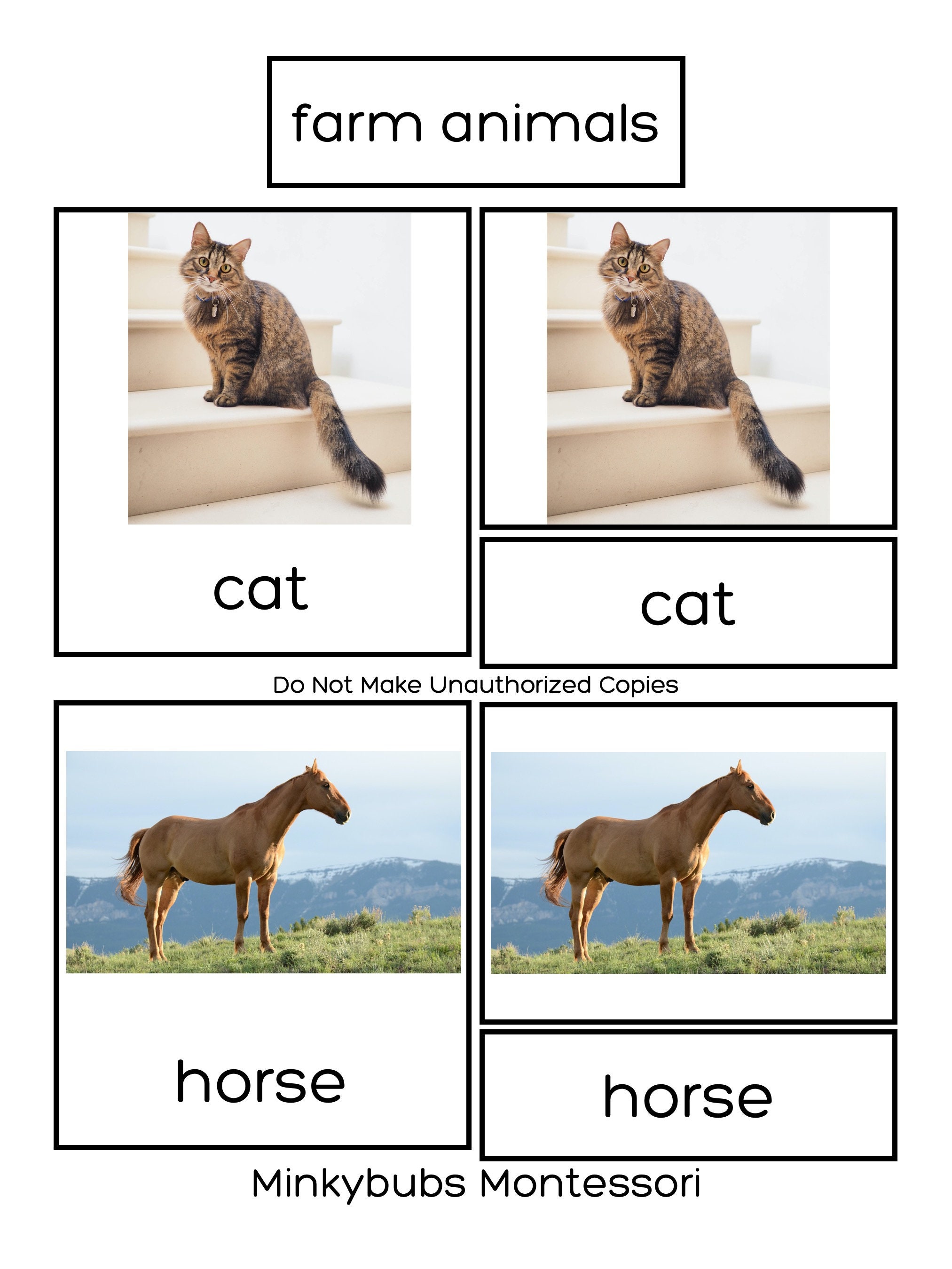 Classified Cards Farm Animals Montessori Set of 10 Common Farm Animal ...
