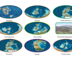 Montessori Timeline of Life Story of the Coming of Life Second Great ...