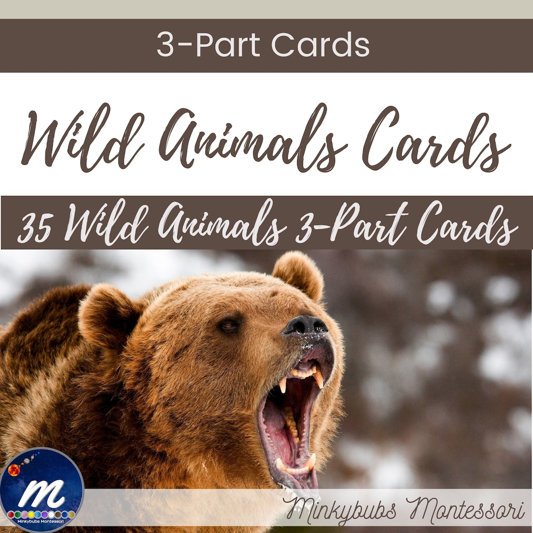 Wild Animals 3 Part Cards Montessori Matching Task Memory Vocabulary - Etsy