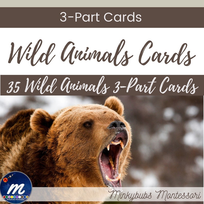 Wild Animals 3 Part Cards Montessori Matching Task Memory Vocabulary - Etsy