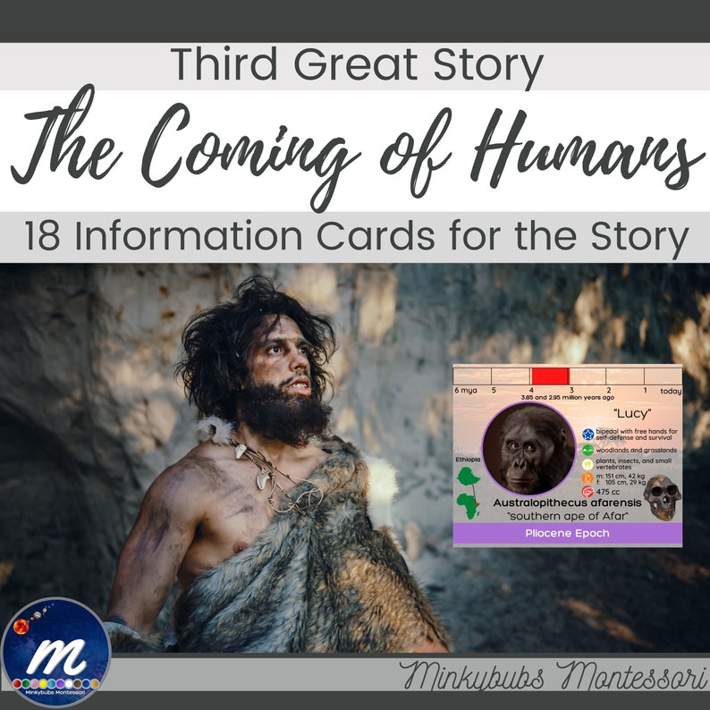 Montessori Coming of Humans Third Great Lesson Printable Info Cards ...