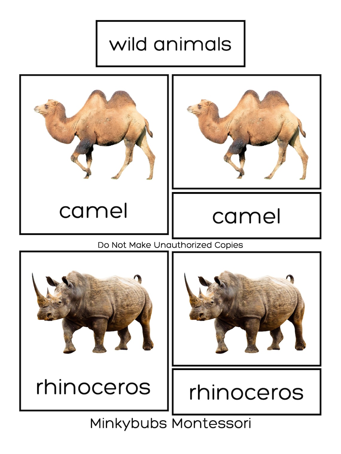 Classified Cards Wild Animals Montessori Set of 10 Common Wild Animal ...