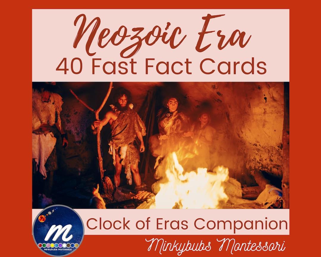 Neozoic Era Fast Fact Cards 40 Cards Montessori Companion to Clock of ...