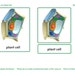 Parts of a Plant Cell 3 Part Cards - Etsy