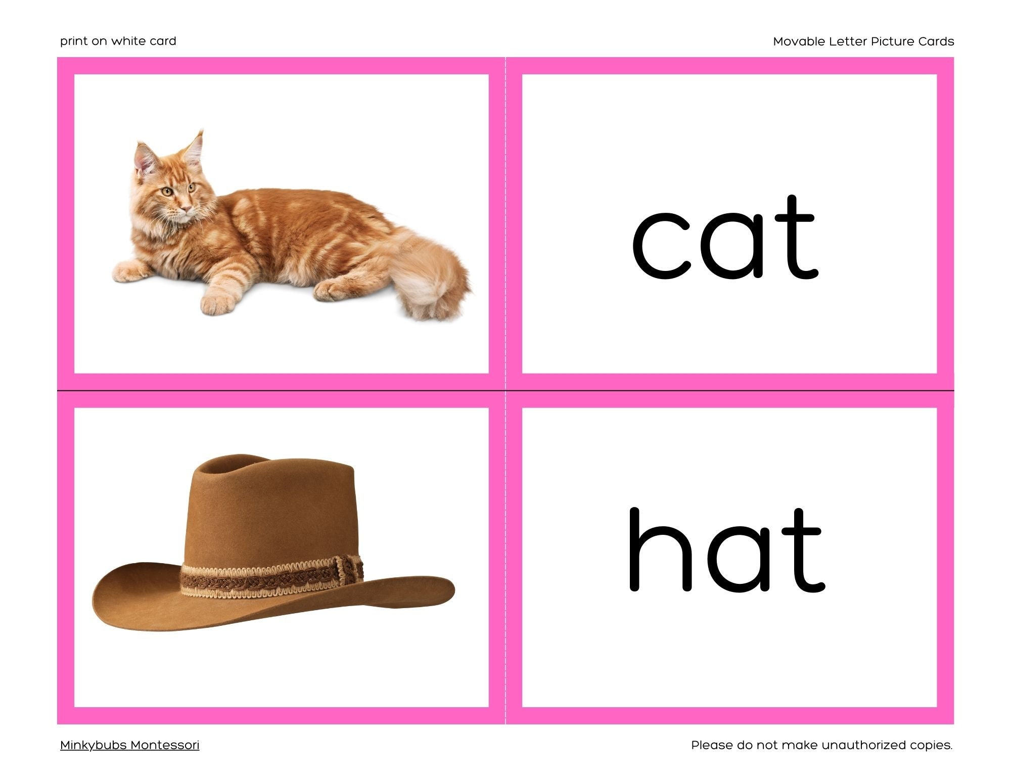 20 Movable Alphabet Pink Language Picture Cards Activity CVC Words Set ...