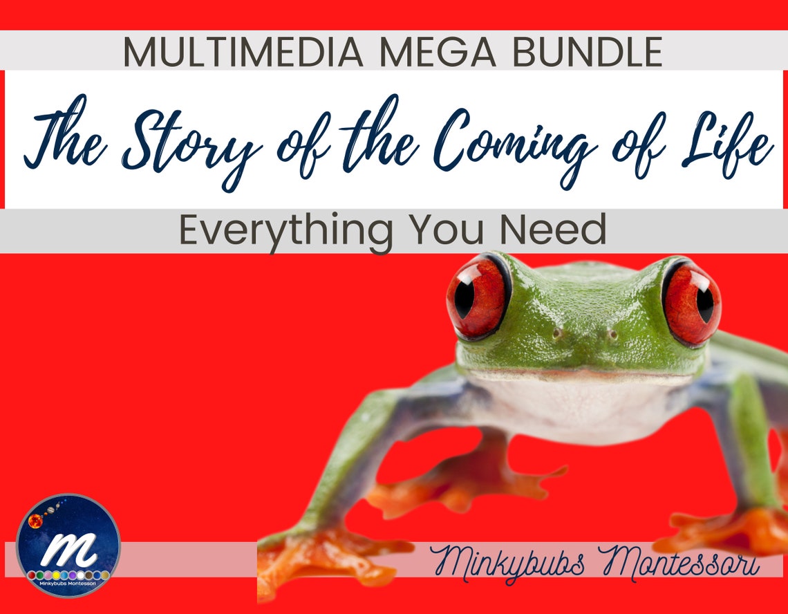 Montessori Timeline of Life Story of the Coming of Life Second - Etsy