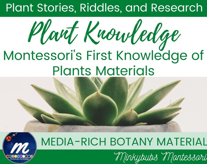 Plant Kingdom Information Cards - Montessori Botany Classification ...